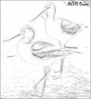 Adding Text to Your Drawing Picture in AKVIS Draw