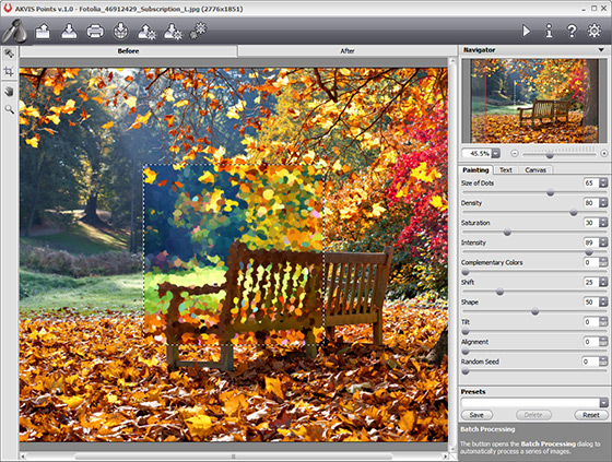 Batch Processing with AKVIS Points Application